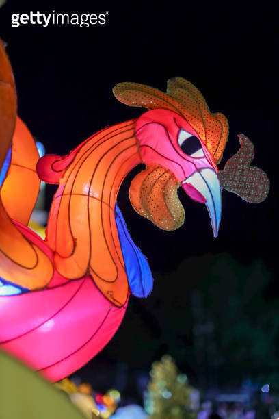 Chinese lantern colourful decorative chicken decoration around the ...