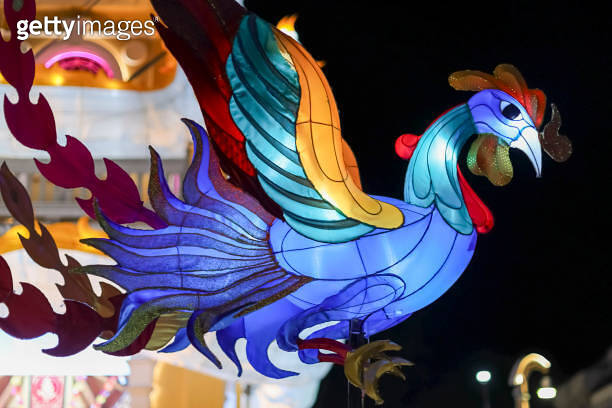 Chinese lantern colourful decorative chicken decoration around the ...