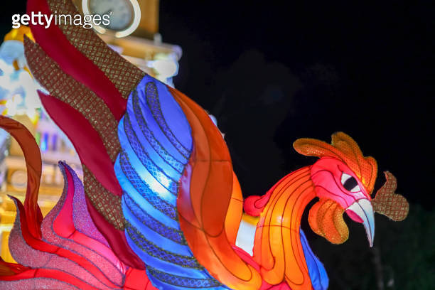 Chinese lantern colourful decorative chicken decoration around the ...