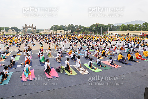 An Engaging picture of a large group of Yogis doing different Yogasanas ...