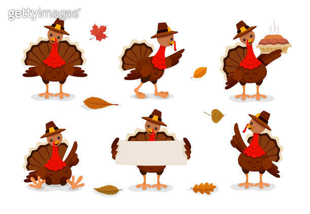Thanksgiving Turkey. Cartoon Mascot Character. Set of turkey characters ...