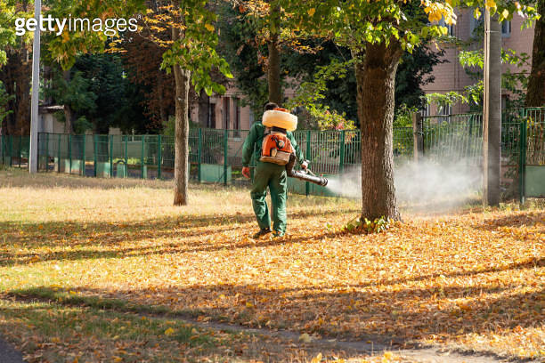 Worker sprays territory with insecticide for mosquitoes or pests or ...
