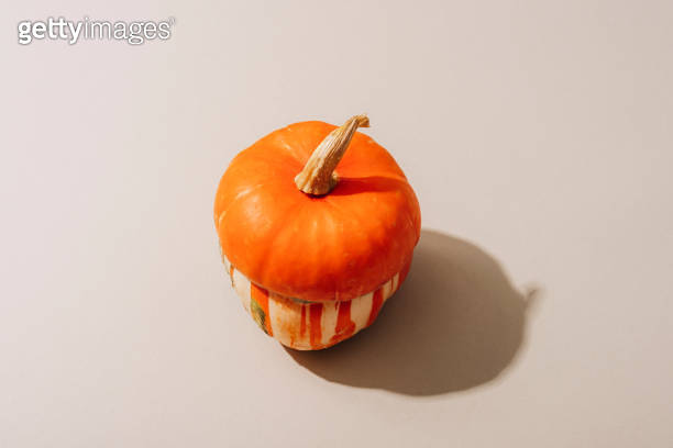 Small orange decorative pumpkin on neutral background with sharp shadow ...