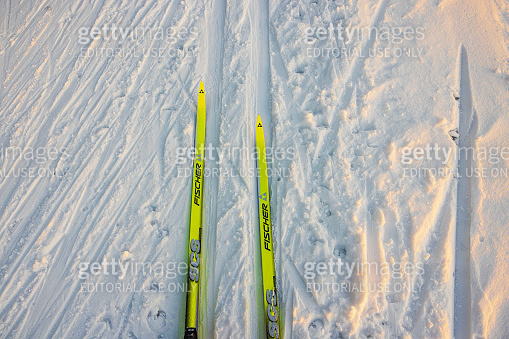 Close-up view of yellow Fischer cross-country classic plastic skis on ...