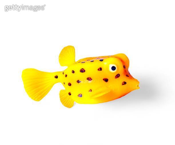 Plastic puffer fish animal toy yellow with spots isolated on white ...