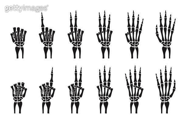 Skeleton bone hand shows a number with its fingers. Collection of hand ...