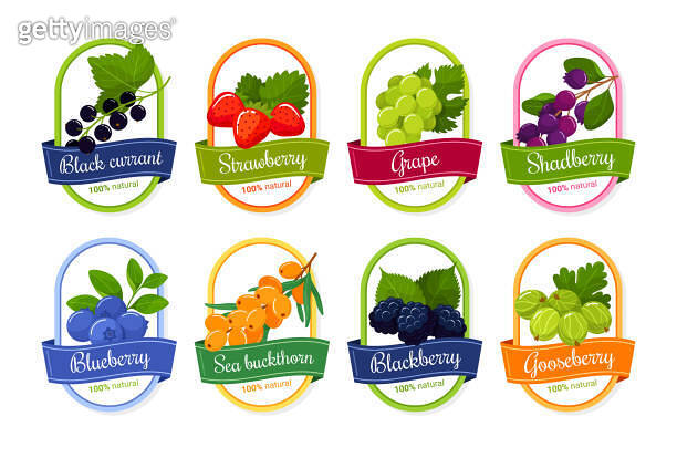 Berry labels natural organic product paper sticker pack design template ...