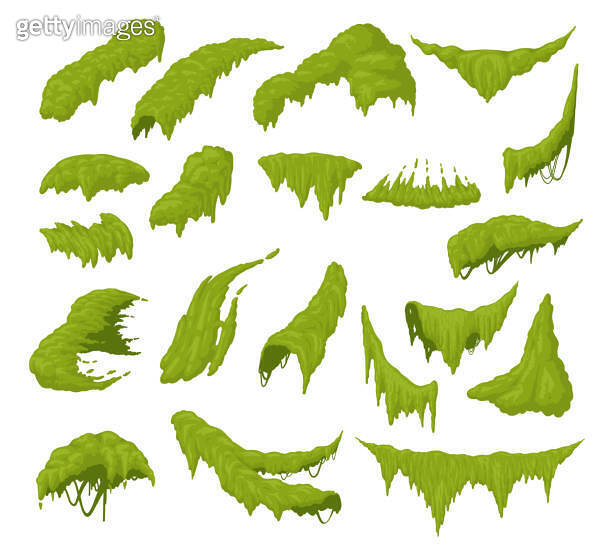 Green swamp jungle moss plant in forest nature different shape set ...