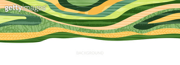 Green abstract rice field top view texture vector background. Nature ...