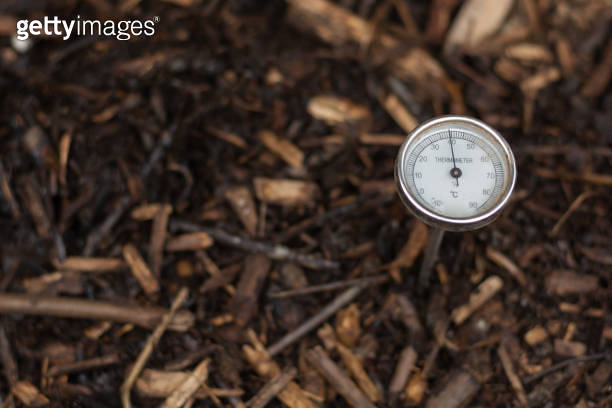 Immature compost managed in a community composter with one thermometer ...
