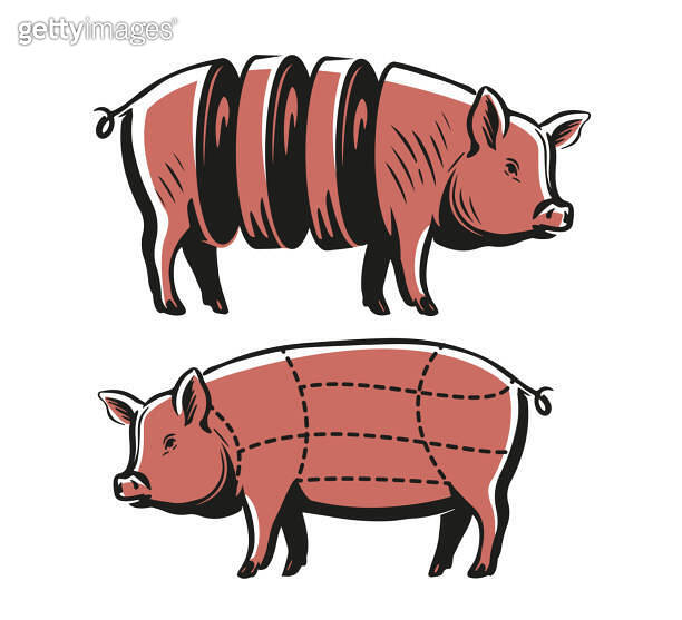 Pig, Pork meat diagram, scheme. Butchery symbol with pork meat cuts ...