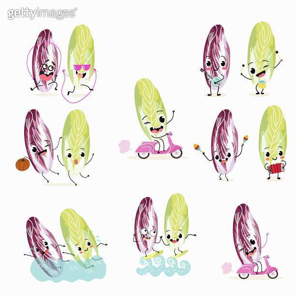 Belgian endive, red Belgian endive, chicory greens. Cartoon character ...