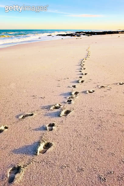 Their paths crossed: footprints of two people meet and diverge on an ...