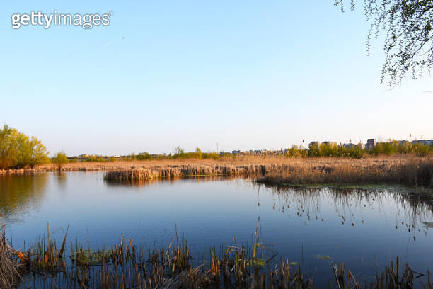 Vacaresti Natural Park, Delta in Bucharest city, Romania 이미지 ...