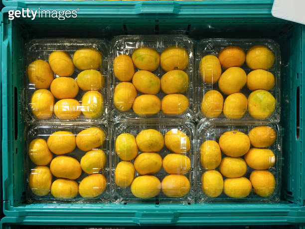 packed mandarin oranges 이미지 (1866252567) - 게티이미지뱅크
