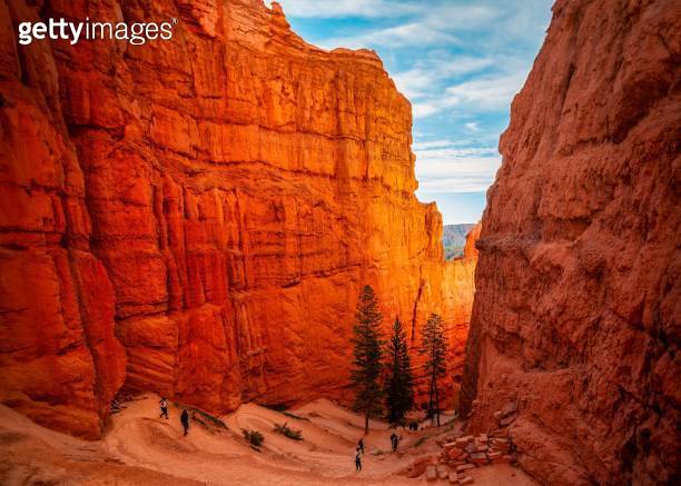 people walking in the canyon between red rocks and green trees ...
