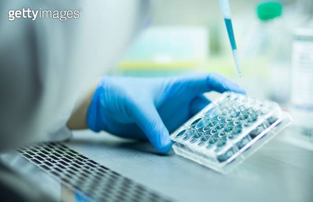 Chemist wearing protective gloves conducting a scientific experiment in ...