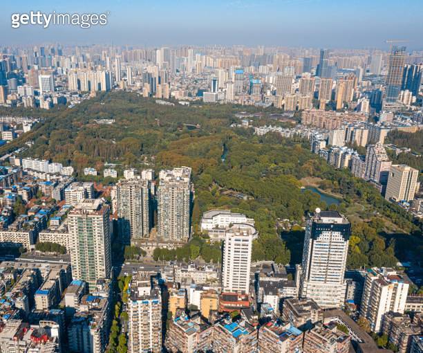 large city with many tall buildings and trees in the background 이미지 ...