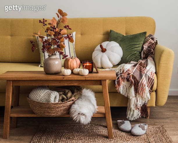 Cozy autumn living room interior. Sofa with pillows and blankets, oak ...