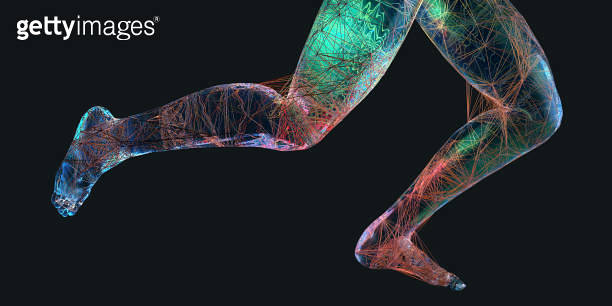 Transparent human body in motion with internal connections to ...