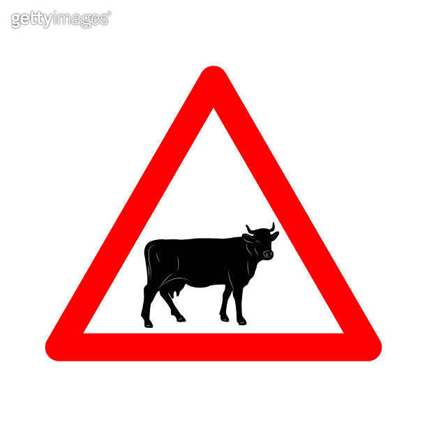 Cattle drive sign. Cattle drive warning sign. Red triangle sign with ...