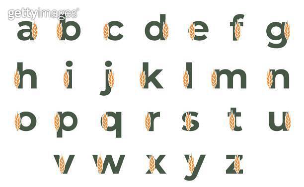lowercase letters with wheat ear. harvest alphabet design. cereal ...