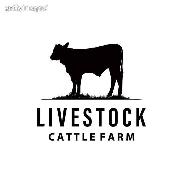 Cow symbol, Simple Cattle Farm Design, Livestock Silhouette, Vector ...