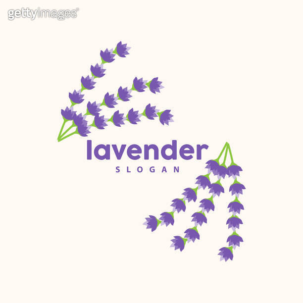 Lavender Logo, Simple Elegant Purple Flower Plant Vector, Greeting Card ...