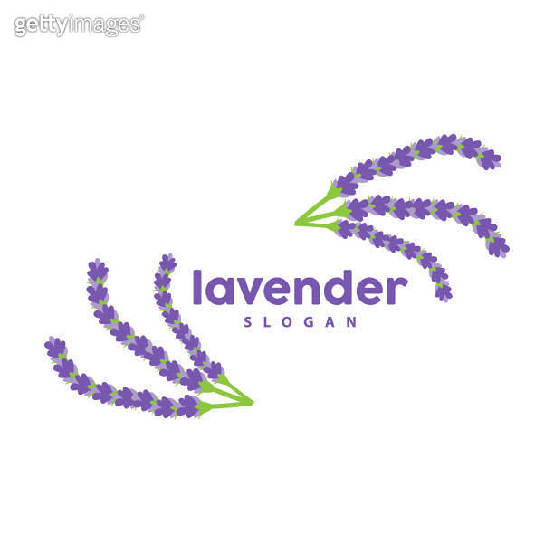 Lavender Logo, Simple Elegant Purple Flower Plant Vector, Greeting Card ...
