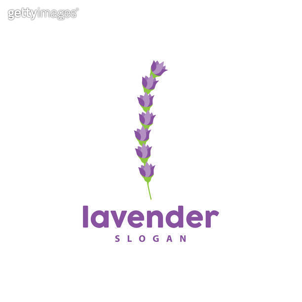 Lavender Logo, Simple Elegant Purple Flower Plant Vector, Greeting Card ...