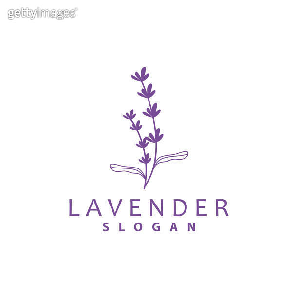 Lavender Logo, Simple Elegant Purple Flower Plant Vector, Greeting Card ...