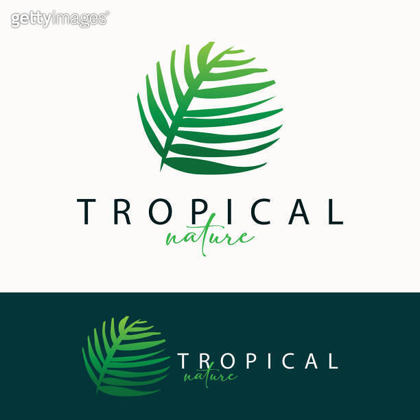 Palm Leaf Design Vector Simple Minimalist Symbol Illustration Template ...