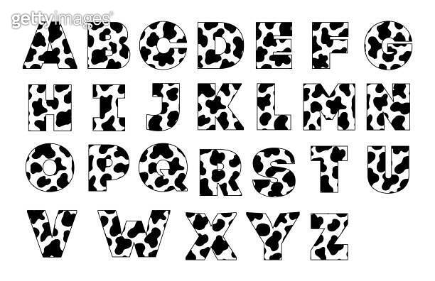 Animal font for posters. Cow spots black and white. Holstein cattle ...
