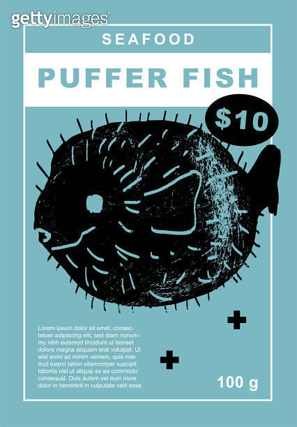 Puffer fish. Set of posters of fishes and seafood in a abstract draw ...