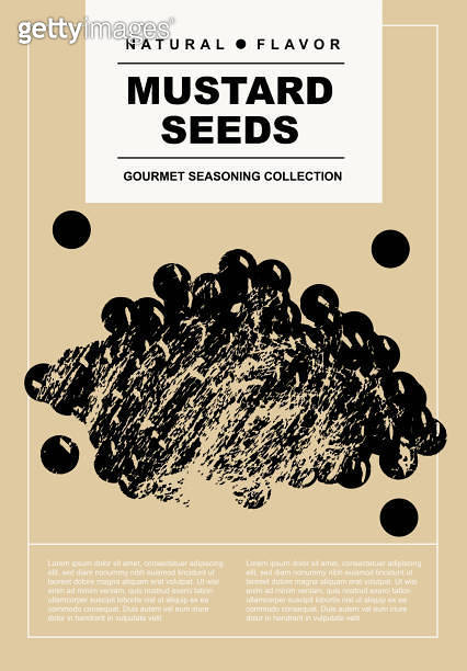 Mustard seeds. Set of posters of spices, herbs, organic product in a ...