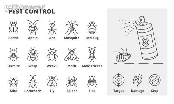 Pest Control line icons. Pests vector illustrations. Spray, Mosquito ...
