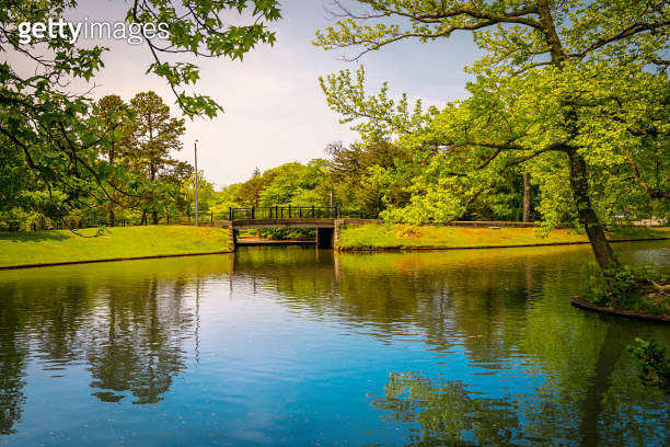 Tranquil spring landscape along the riverbank of Roosevelt Lake at ...