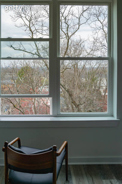 Interior window view of red spring sprouts of barren maple tree ...