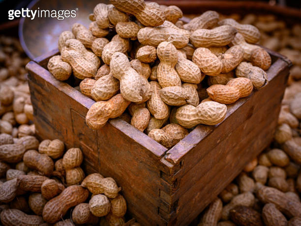 Unshelled peanuts piled in a measuring wooden box 이미지 (1758265060) - 게티 ...