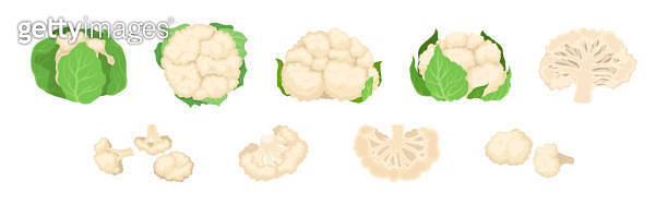 Cauliflower with Edible White Flesh Used in Culinary Vector Set 이미지 ...