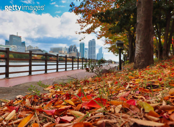 Aerial View of Autumn Centum City, Haeundae, Busan, South korea, Asia ...