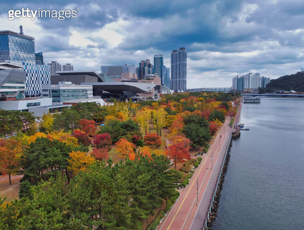 Aerial View of Autumn Centum City, Haeundae, Busan, South korea, Asia ...