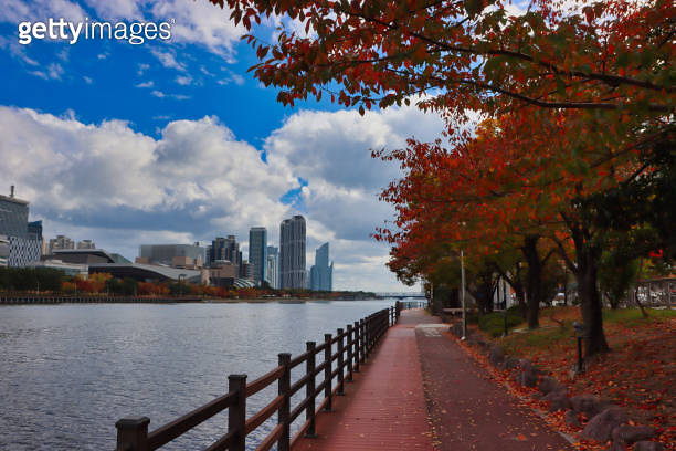 Aerial View of Autumn Centum City, Haeundae, Busan, South korea, Asia ...