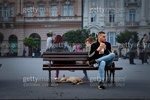 Selective blur on a serbian stray dog, a lutalica, sleeping on Trg ...