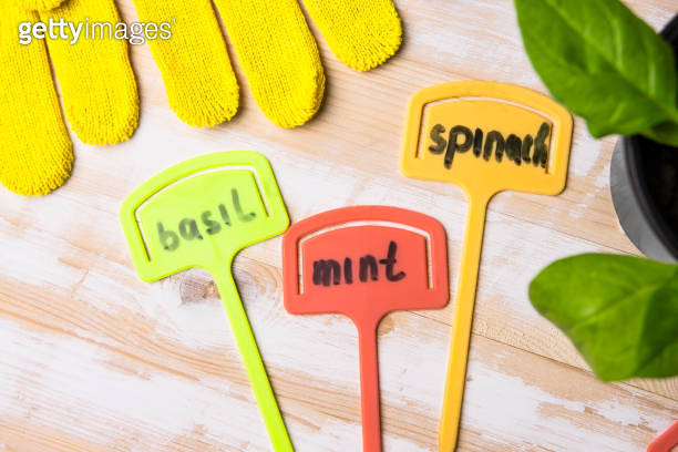 Preparation for the spring planting season, signs for inscription of ...