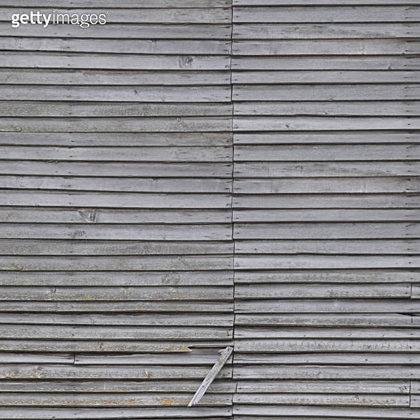 Old aged weathered natural grey damaged wooden farm shack wall texture ...