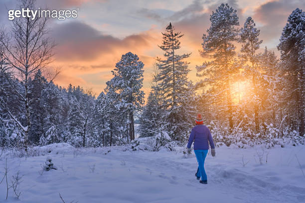 woman winter hiking in deep snow during sunset 이미지 (1463463083) - 게티이미지뱅크