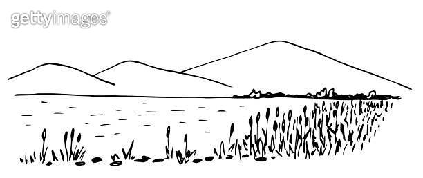 Simple vector black outline drawing in doodle style. Lake, overgrown ...