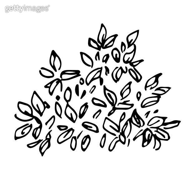 Simple black outline vector drawing. Lush shrub, vegetation and trees ...
