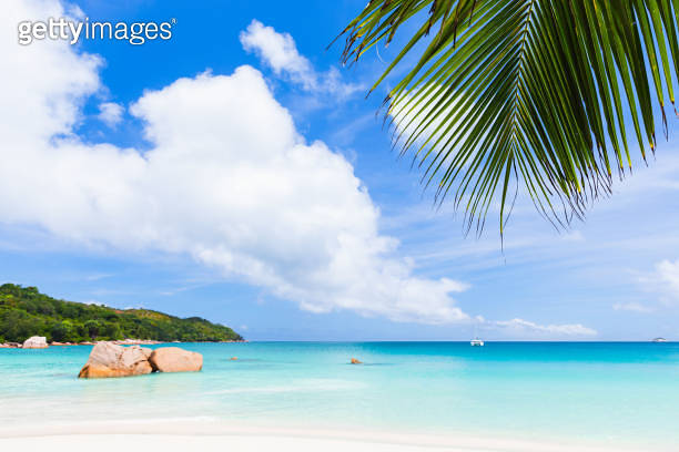 Palm tree branch and white beach sand under blue cloudy sky 이미지 ...